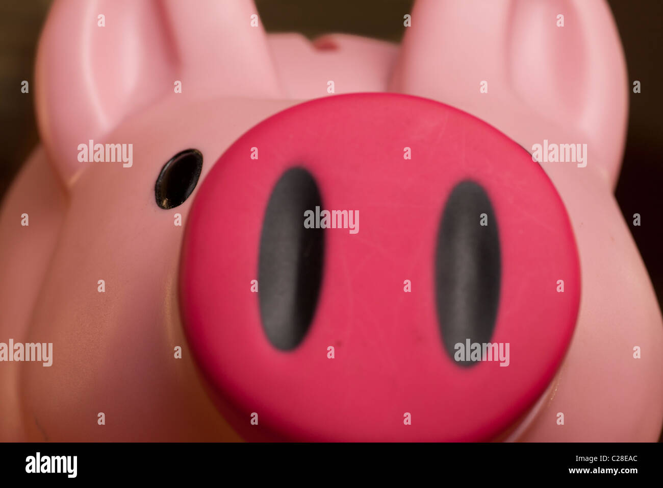 A plastic pig money box Stock Photo - Alamy