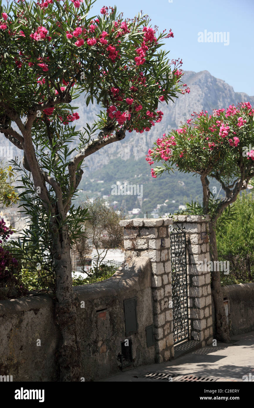 Italy isle of capri hi-res stock photography and images - Alamy