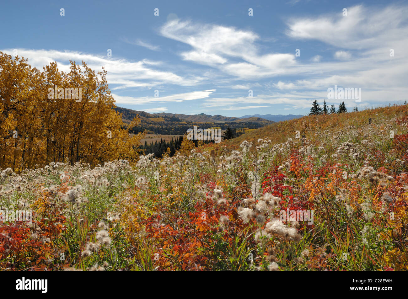An autumn scene of the foothills and Rocky Mountains in Alberta, Canada ...