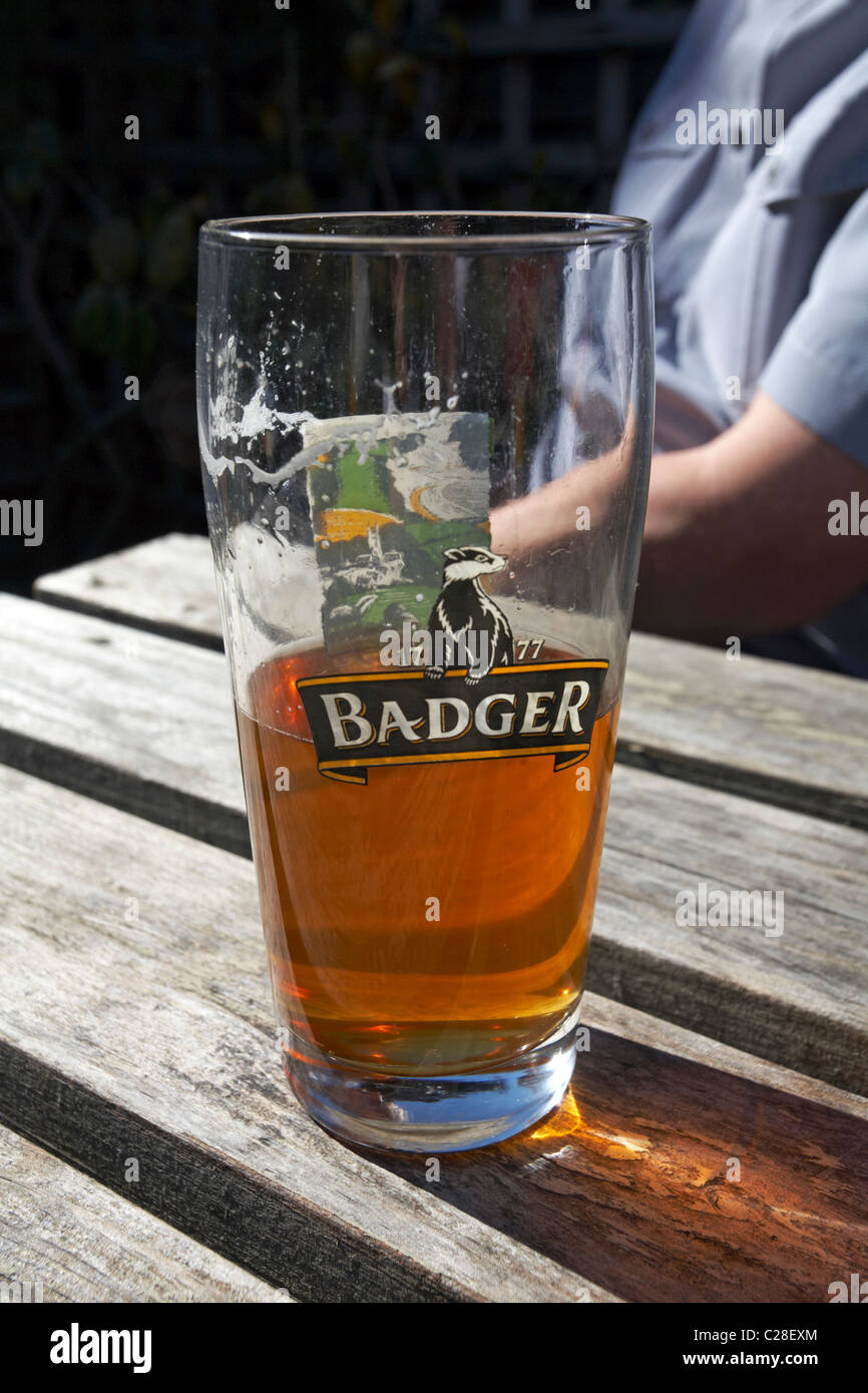 Drinking a pint of Badger beer Stock Photo - Alamy