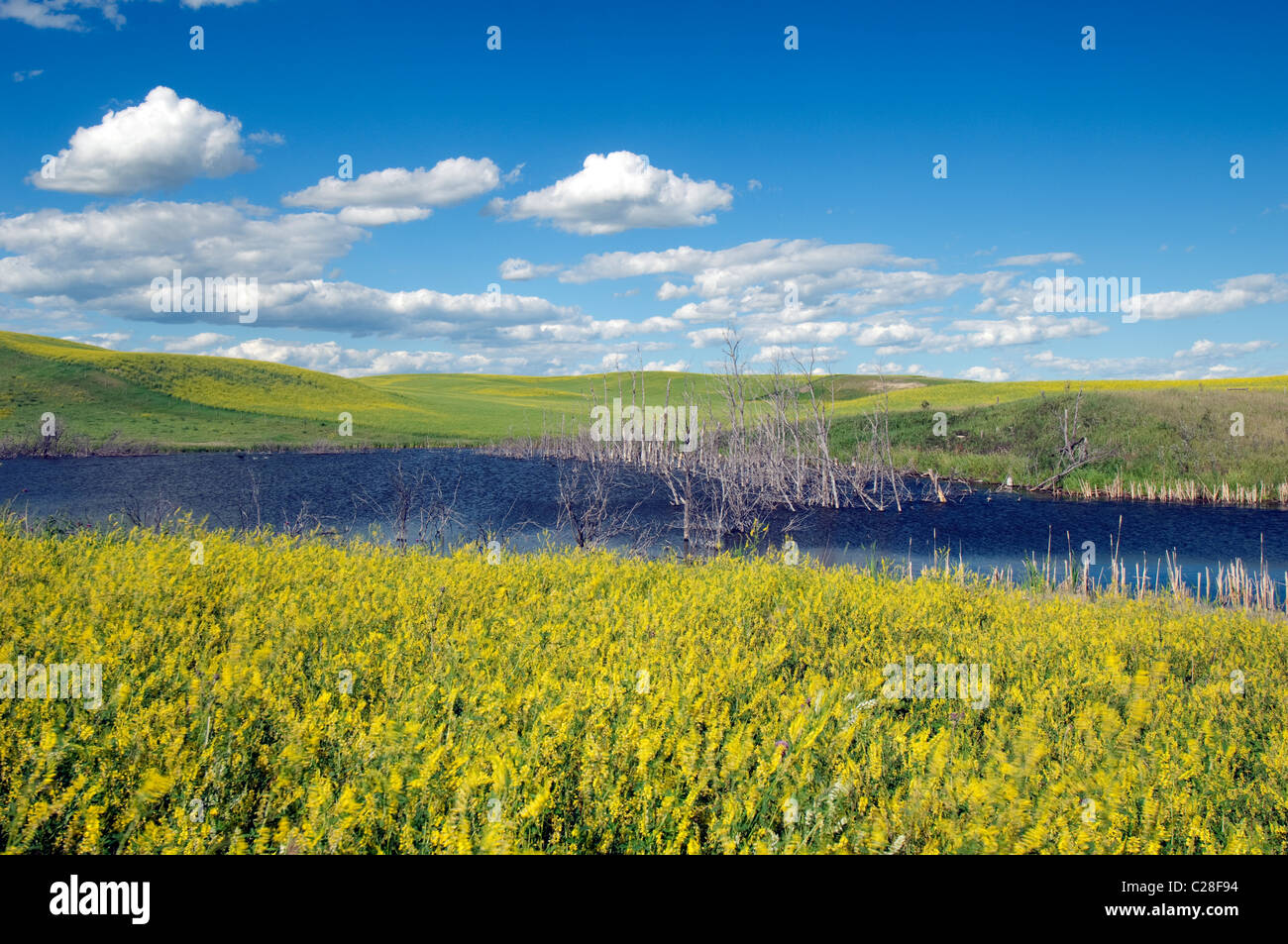 Slough central hi-res stock photography and images - Alamy