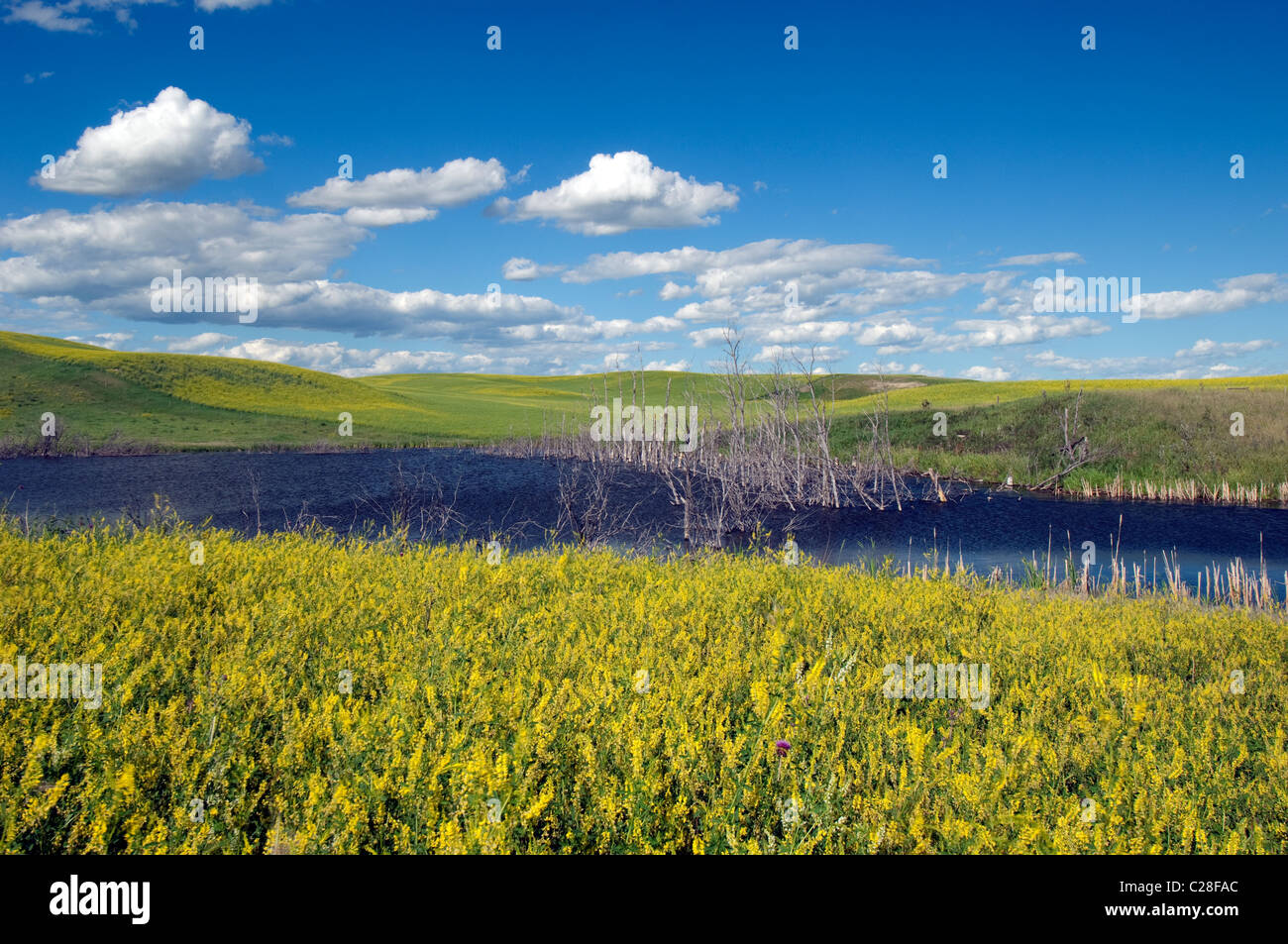 Slough central hi-res stock photography and images - Alamy