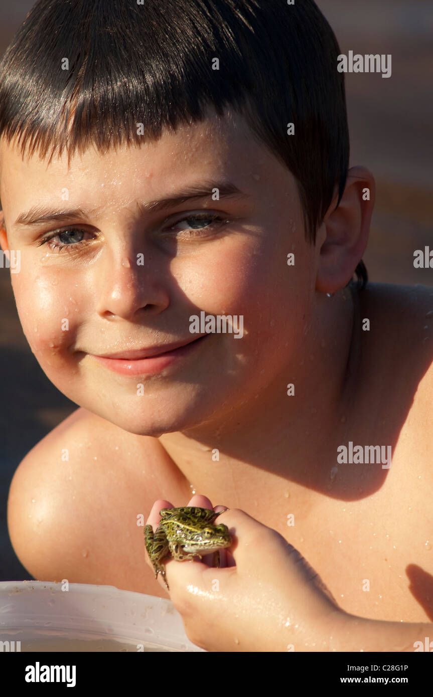 Wide frog hi-res stock photography and images - Alamy
