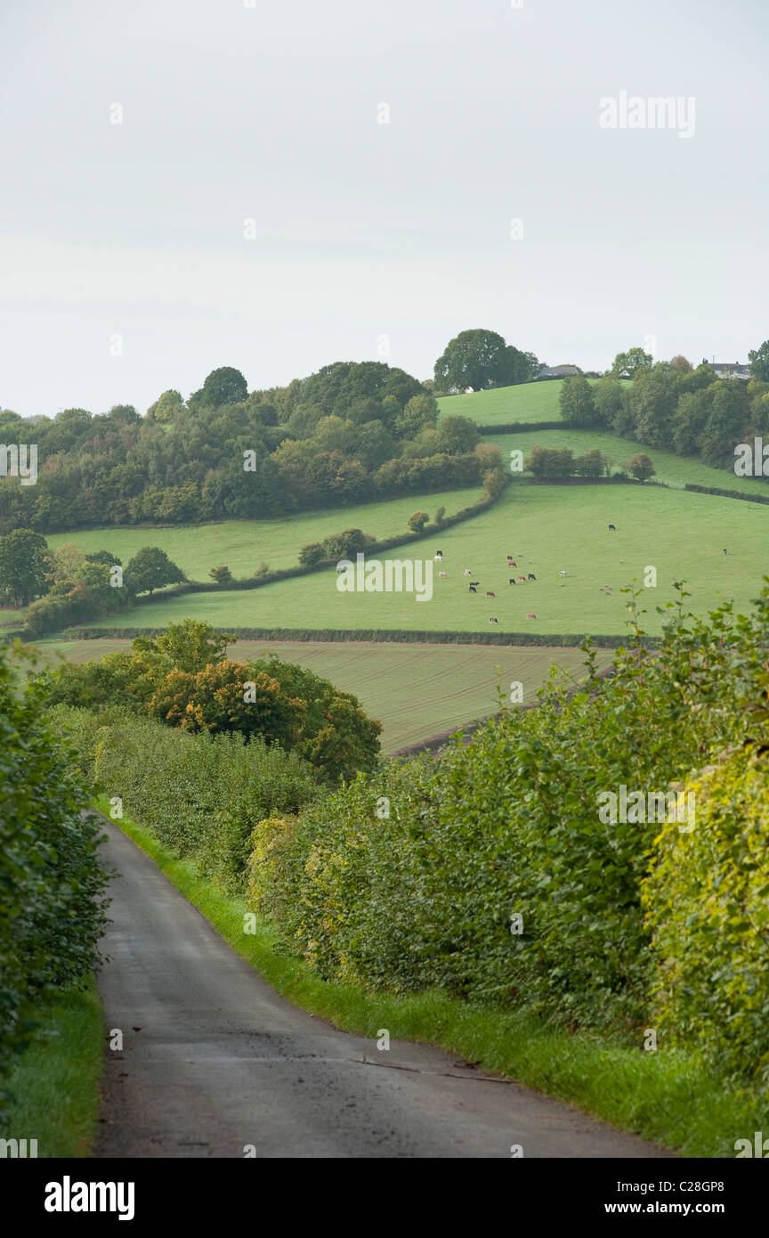 Beautiful unspoilt countryside hi-res stock photography and images - Alamy