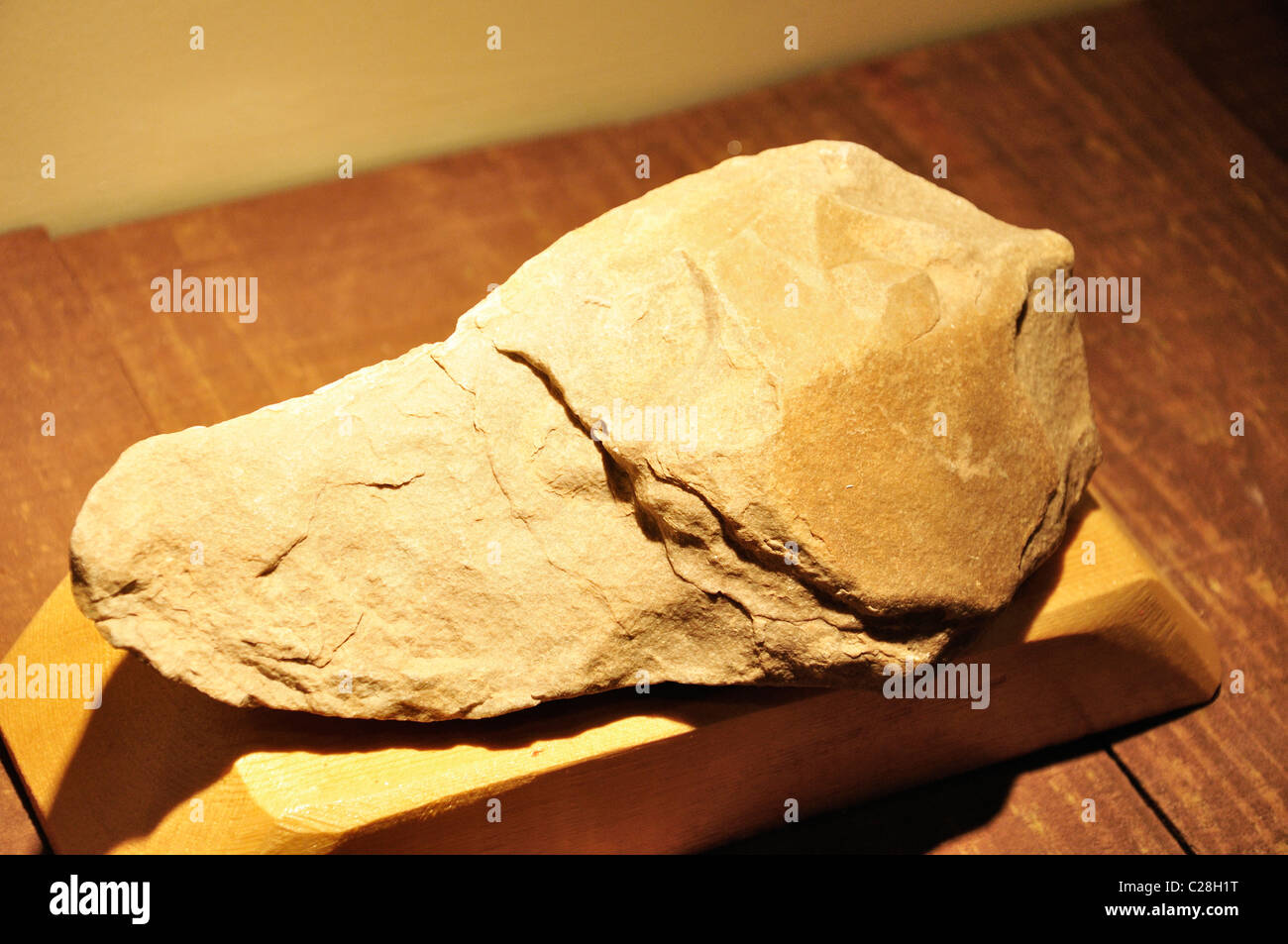 Dinosaur World museum, Glen Rose, Texas, USA - early mans hand ax Stock ...
