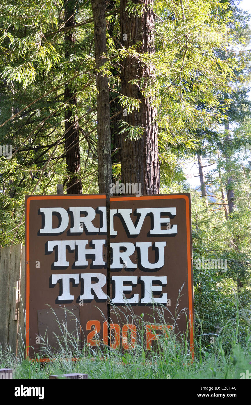 Drive thru redwood tree hi-res stock photography and images - Alamy