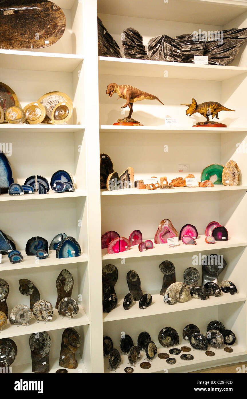 Fossils rock texas hi-res stock photography and images - Alamy