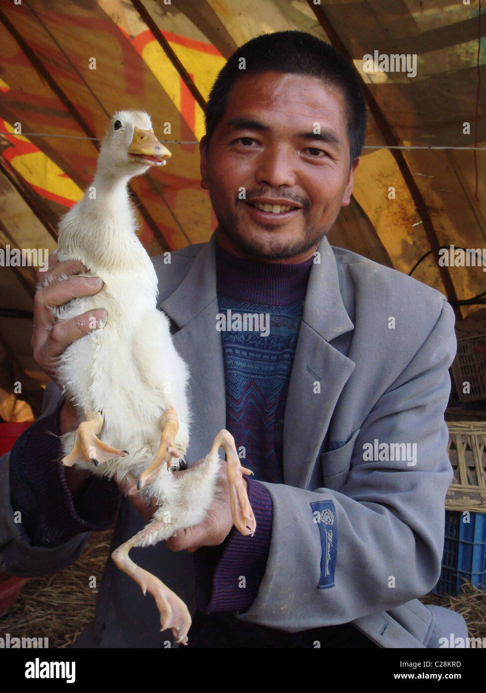 LEGGY BIRDS! These ducks will easily outswim their rivals – they've got ...