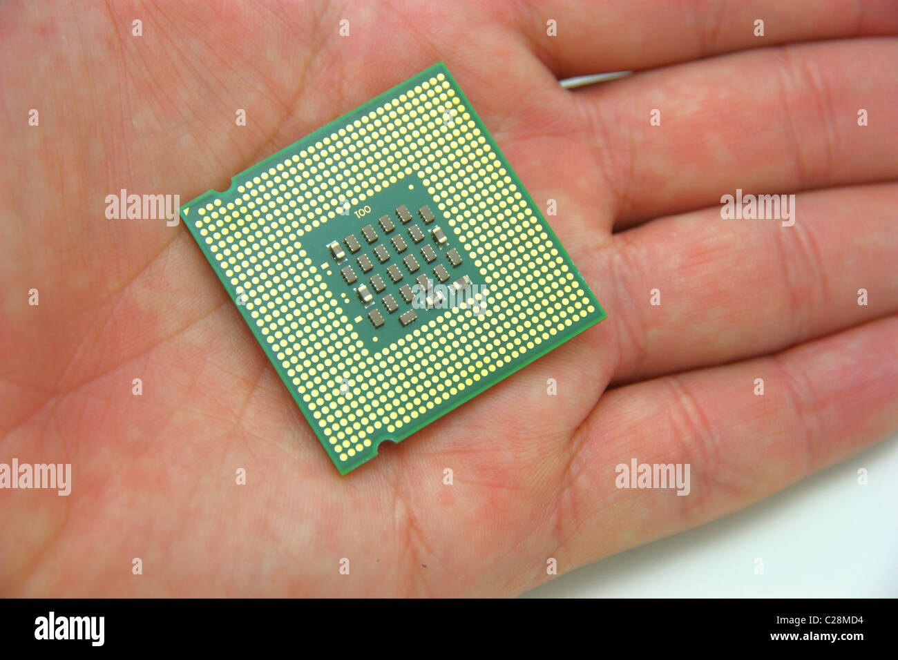 Computer processor in hand Stock Photo - Alamy