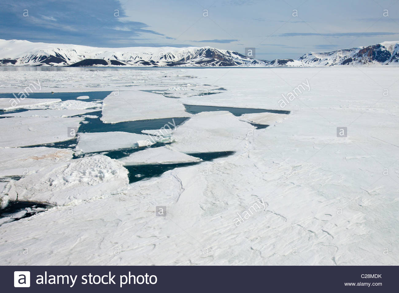Pack ice breaks into the ocean Stock Photo - Alamy