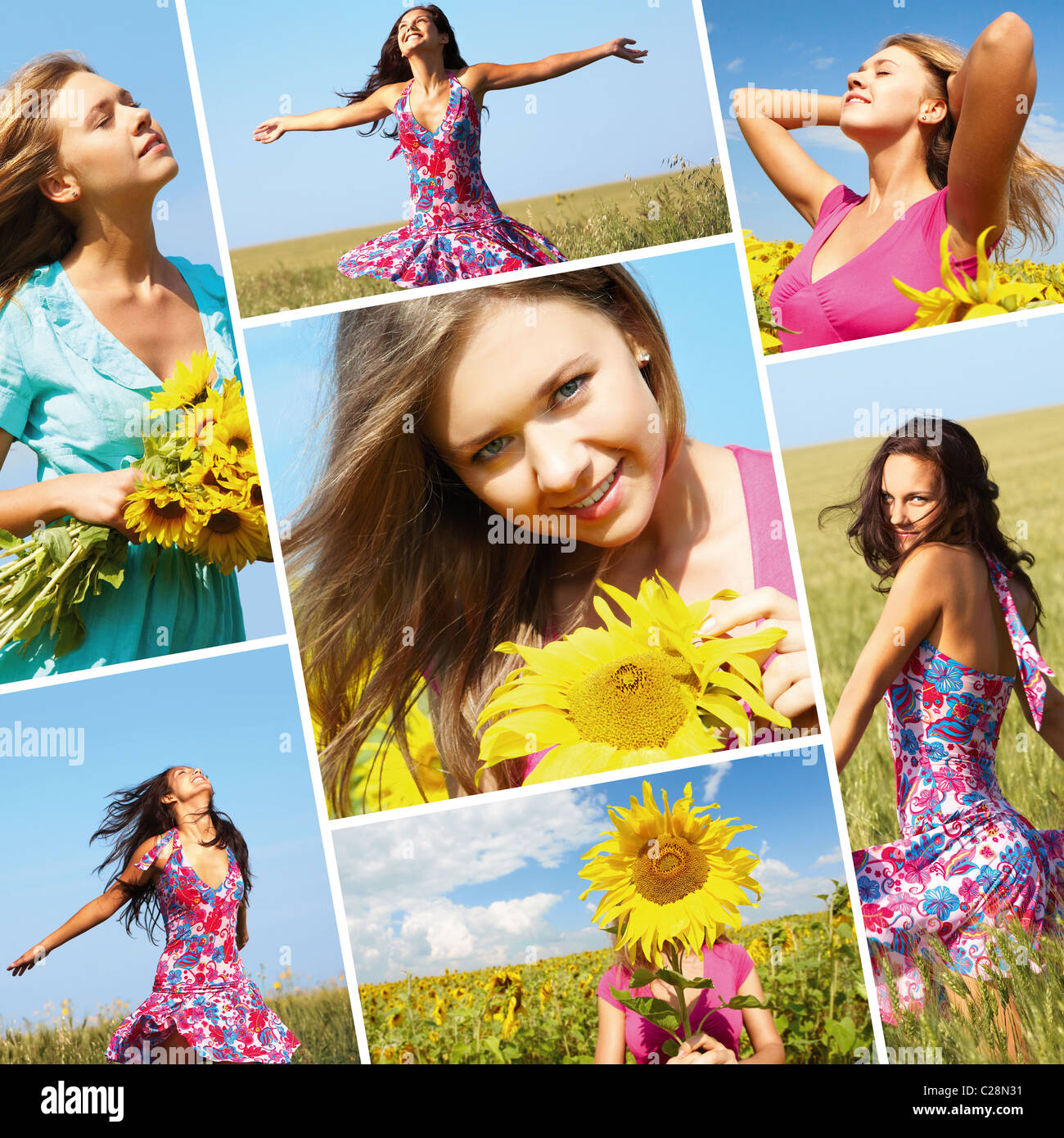 Collage made of photos with beautiful woman among sunflowers Stock ...