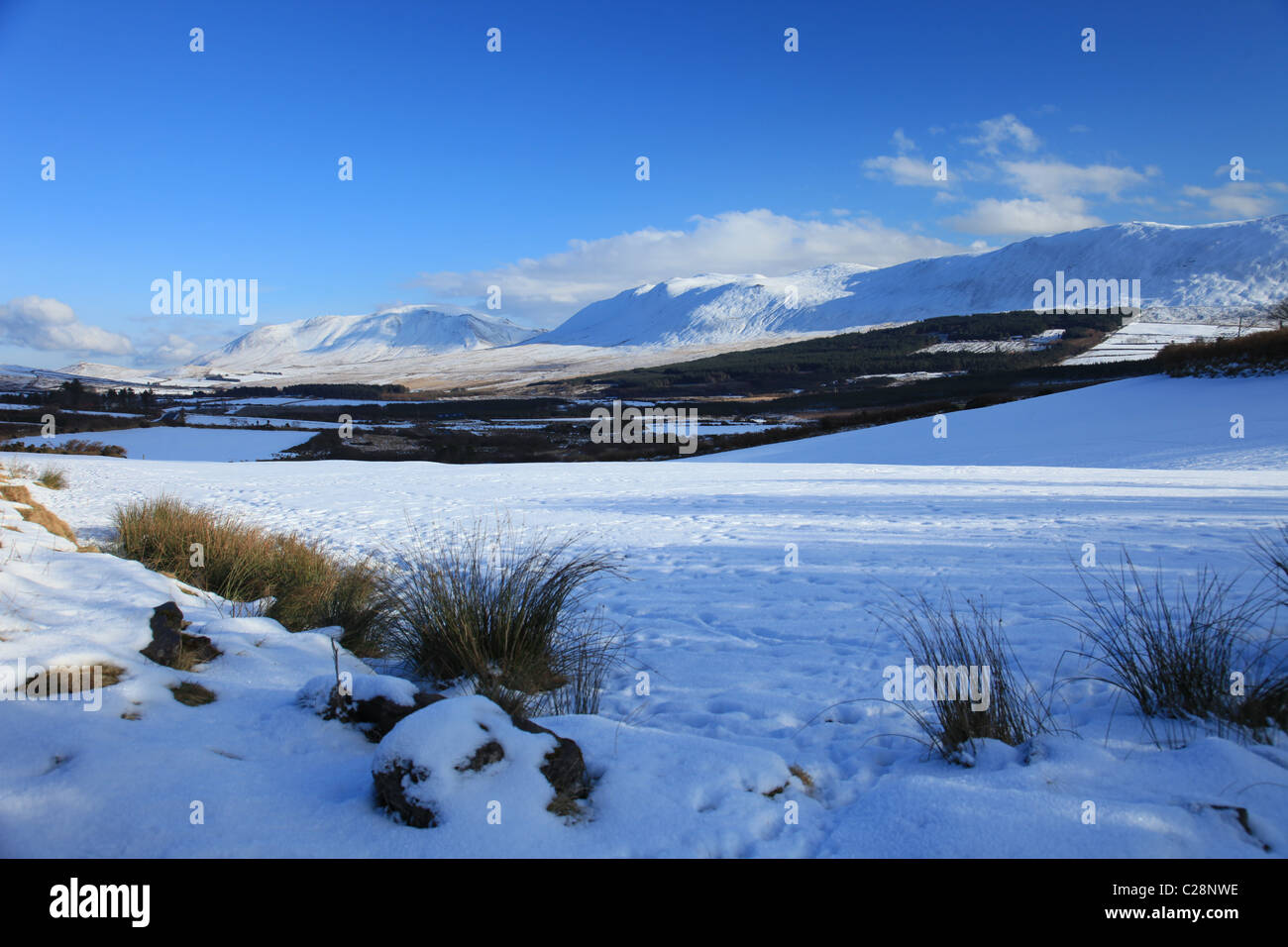 ireland co county kerry, dingle peninsula, large open space covered in ...
