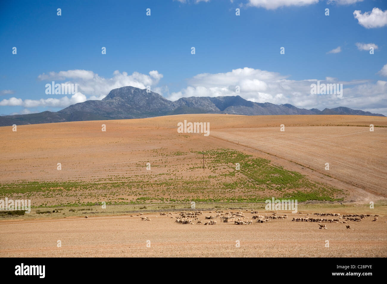 Caledon region hi-res stock photography and images - Alamy