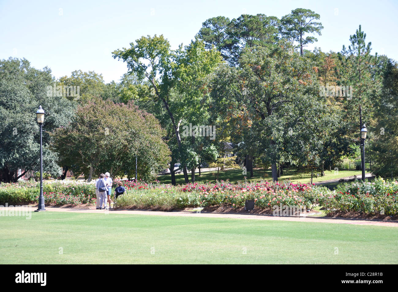 Rose Garden, Tyler, Texas - largest rose garden in the US Stock Photo ...