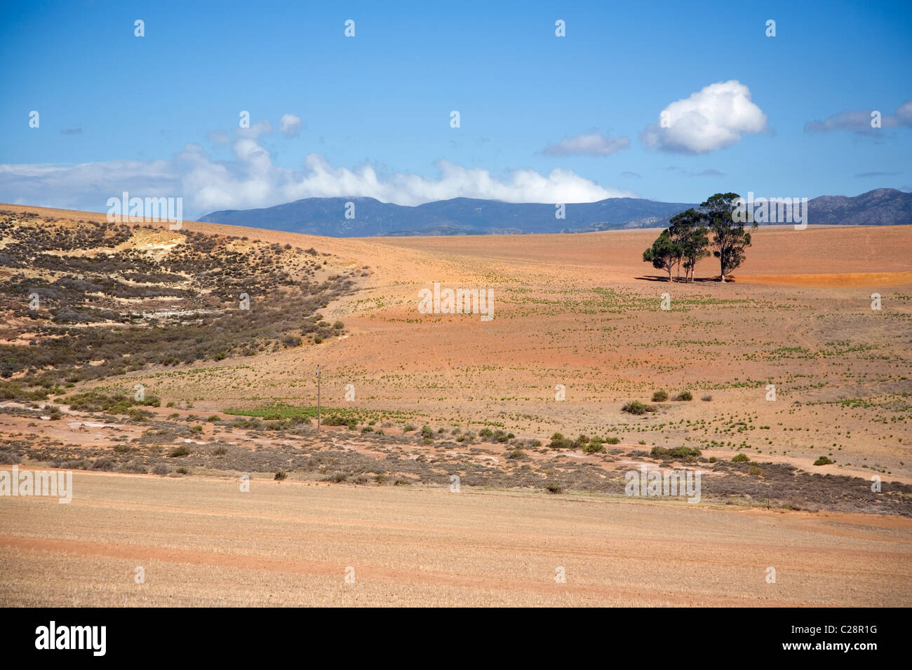 Caledon landscape in Overberg region of Western Cape in South Africa ...