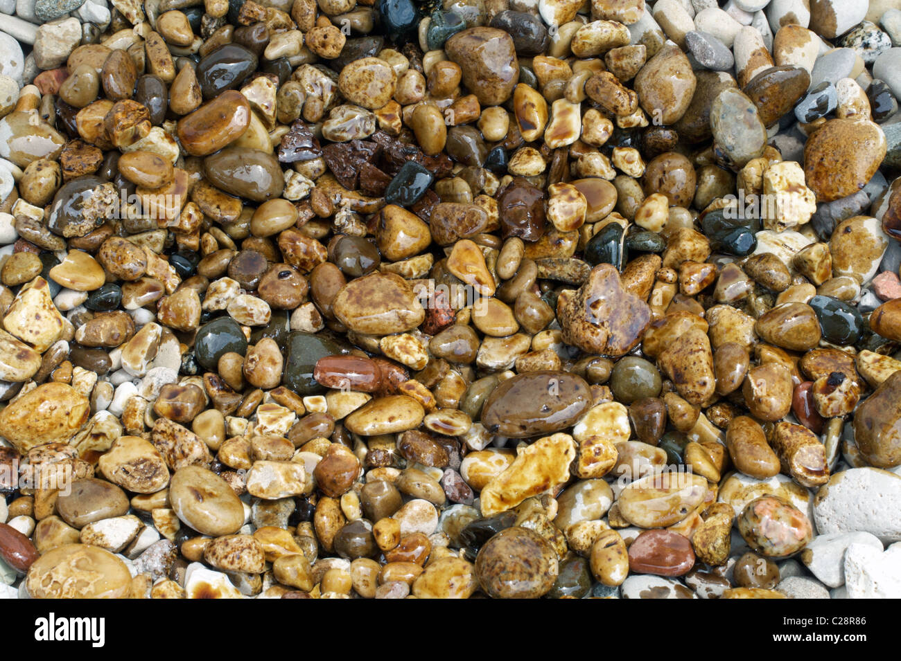 Oil spill crude oil oil slick hi-res stock photography and images - Alamy