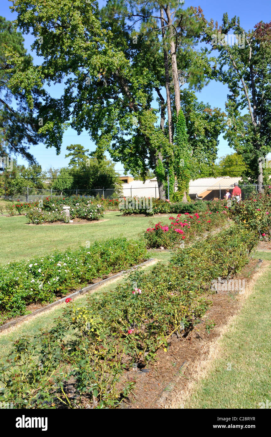Rose Garden, Tyler, Texas - largest rose garden in the US Stock Photo ...