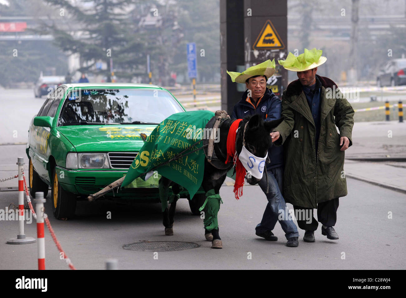 A protester drives his donkey - emblazoned in a green poster - to ...