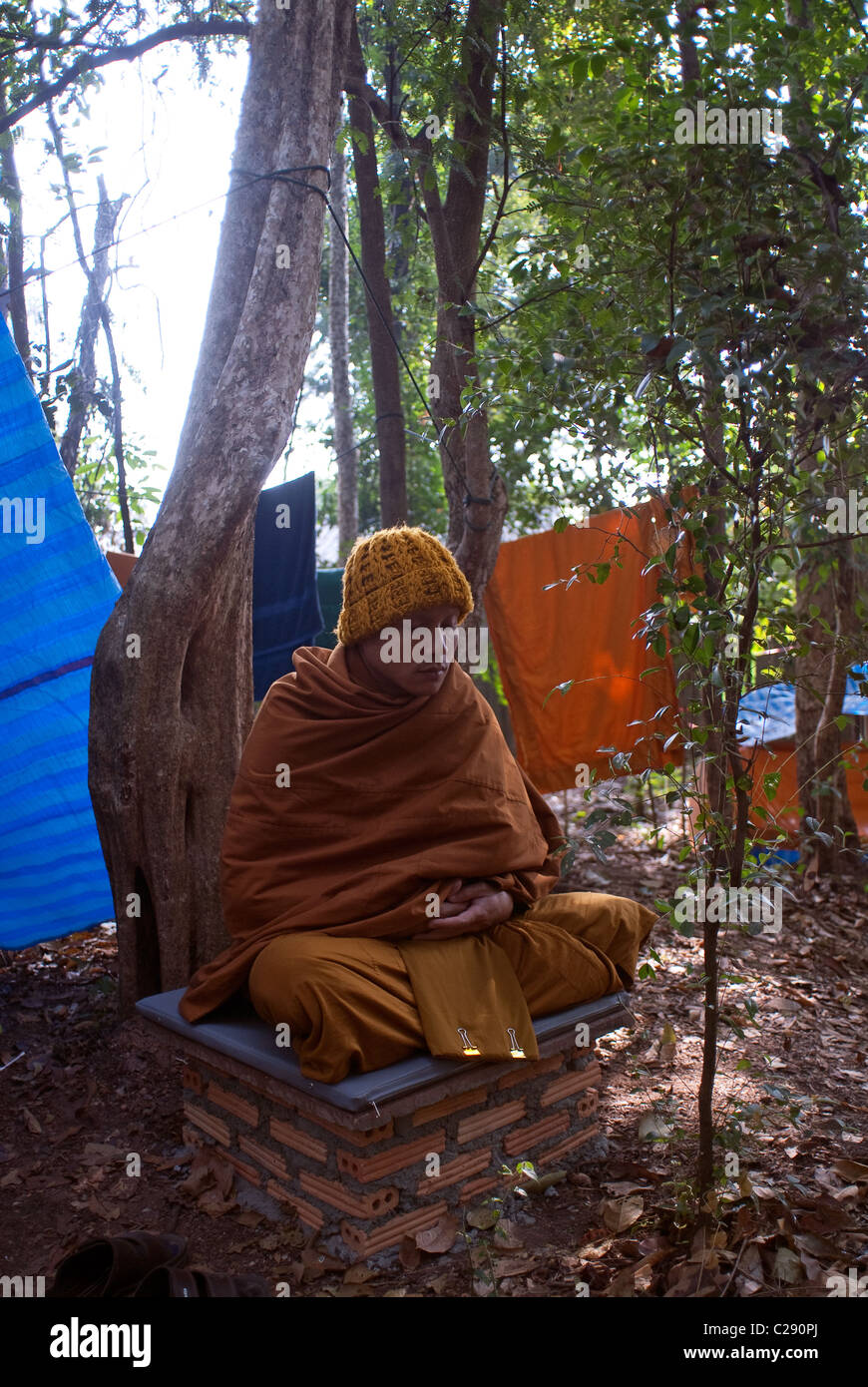 Buddhist monks. Thailand. Forest Mediation Stock Photo - Alamy