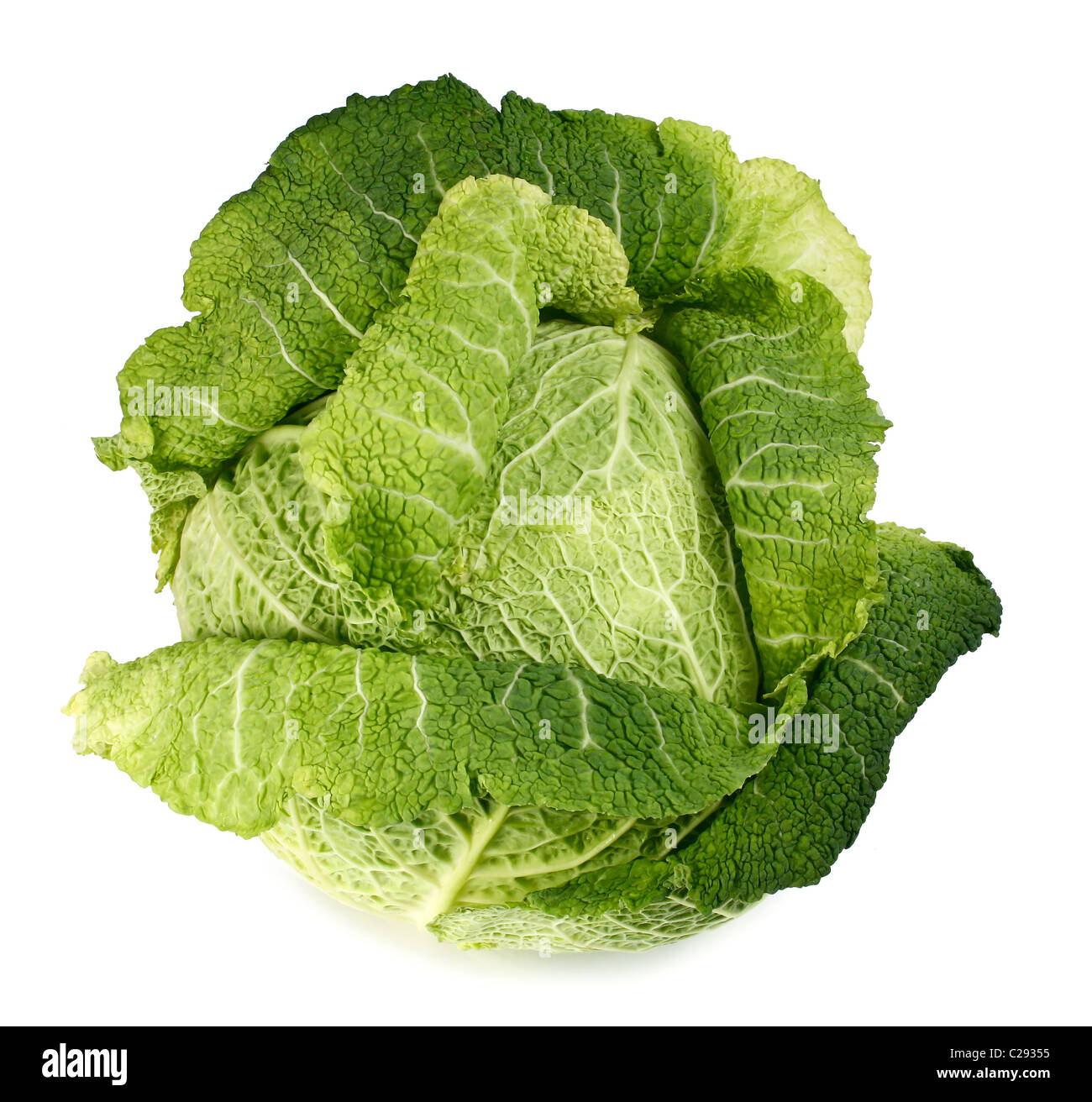 cabbage isolated on white background Stock Photo - Alamy