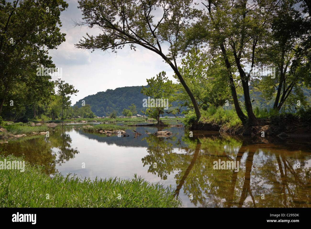 The looking downstream (south) on the Potomac River floodplain along ...