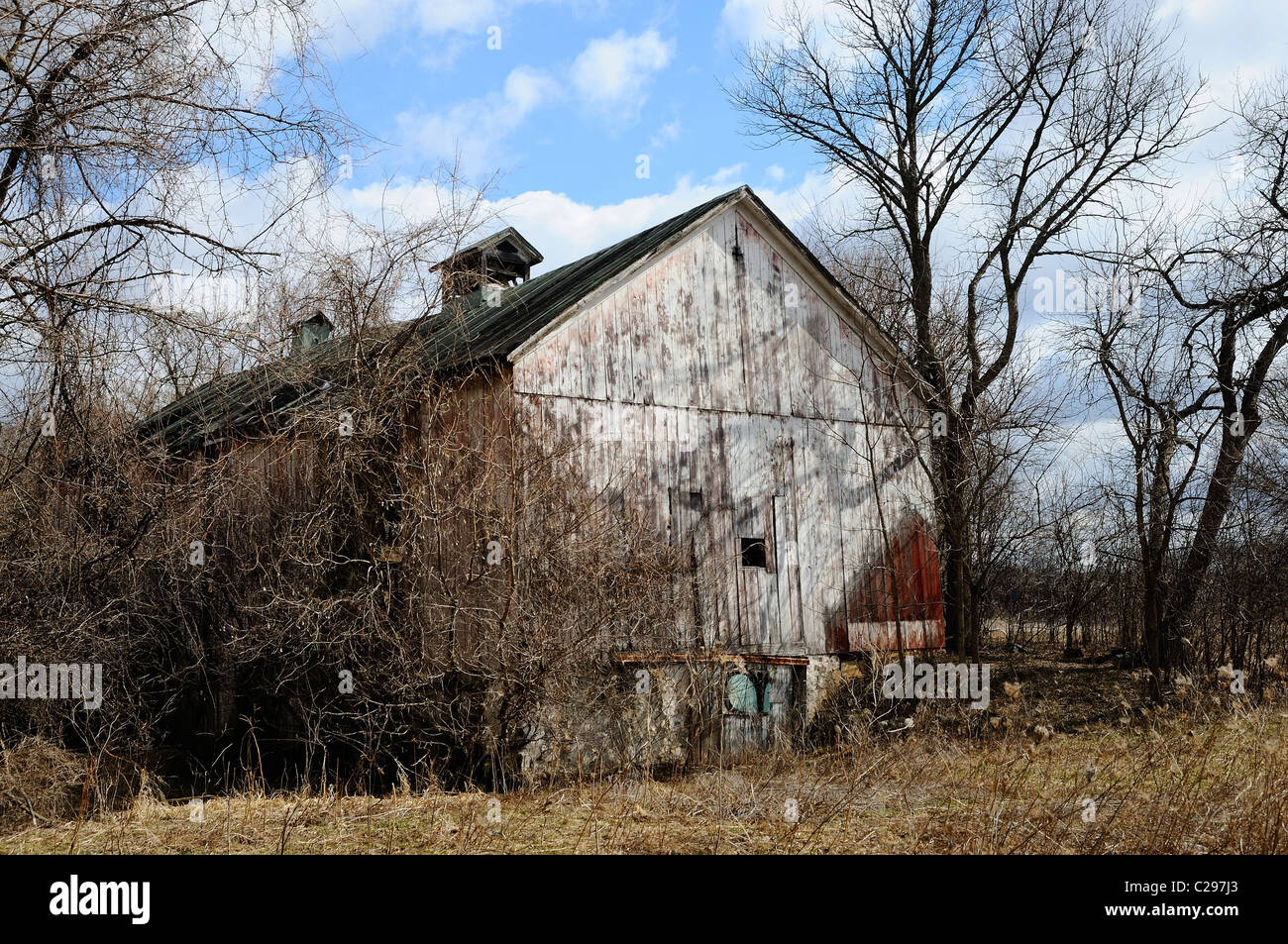 Neglected barn hi-res stock photography and images - Alamy
