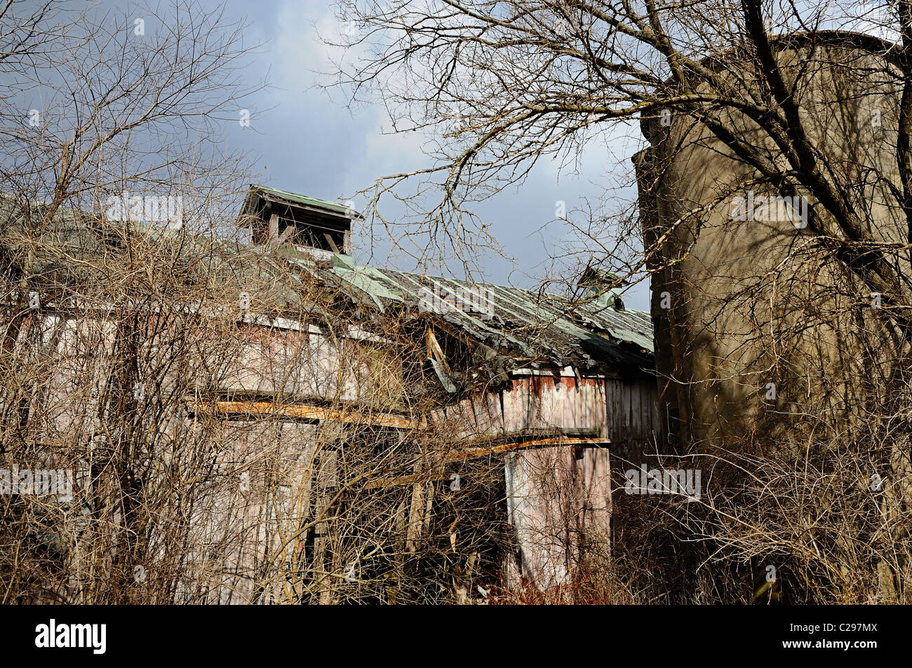 Overgrown decaying barn and silo in Illinois, USA Stock Photo - Alamy