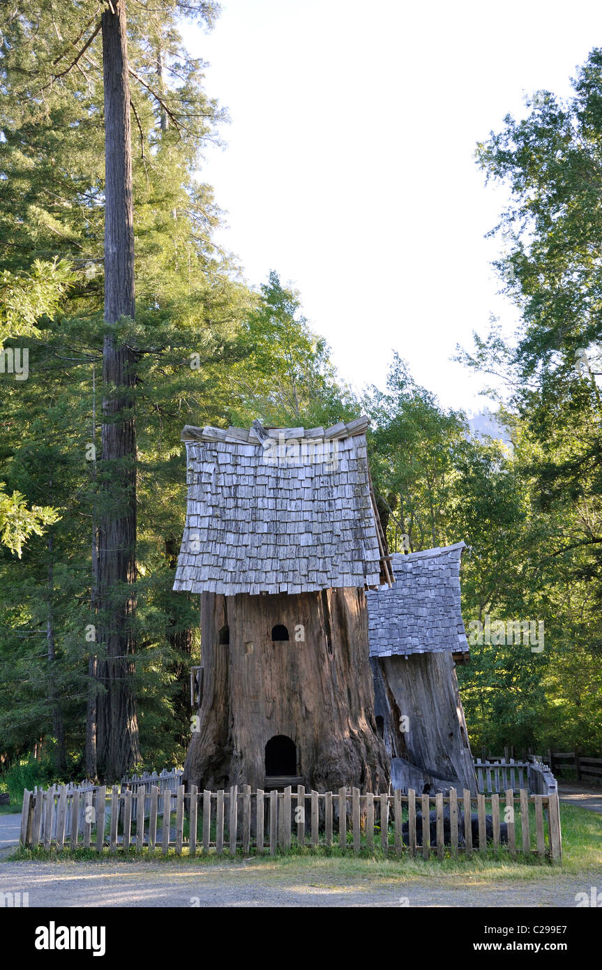 Redwoods tree house hi-res stock photography and images - Alamy