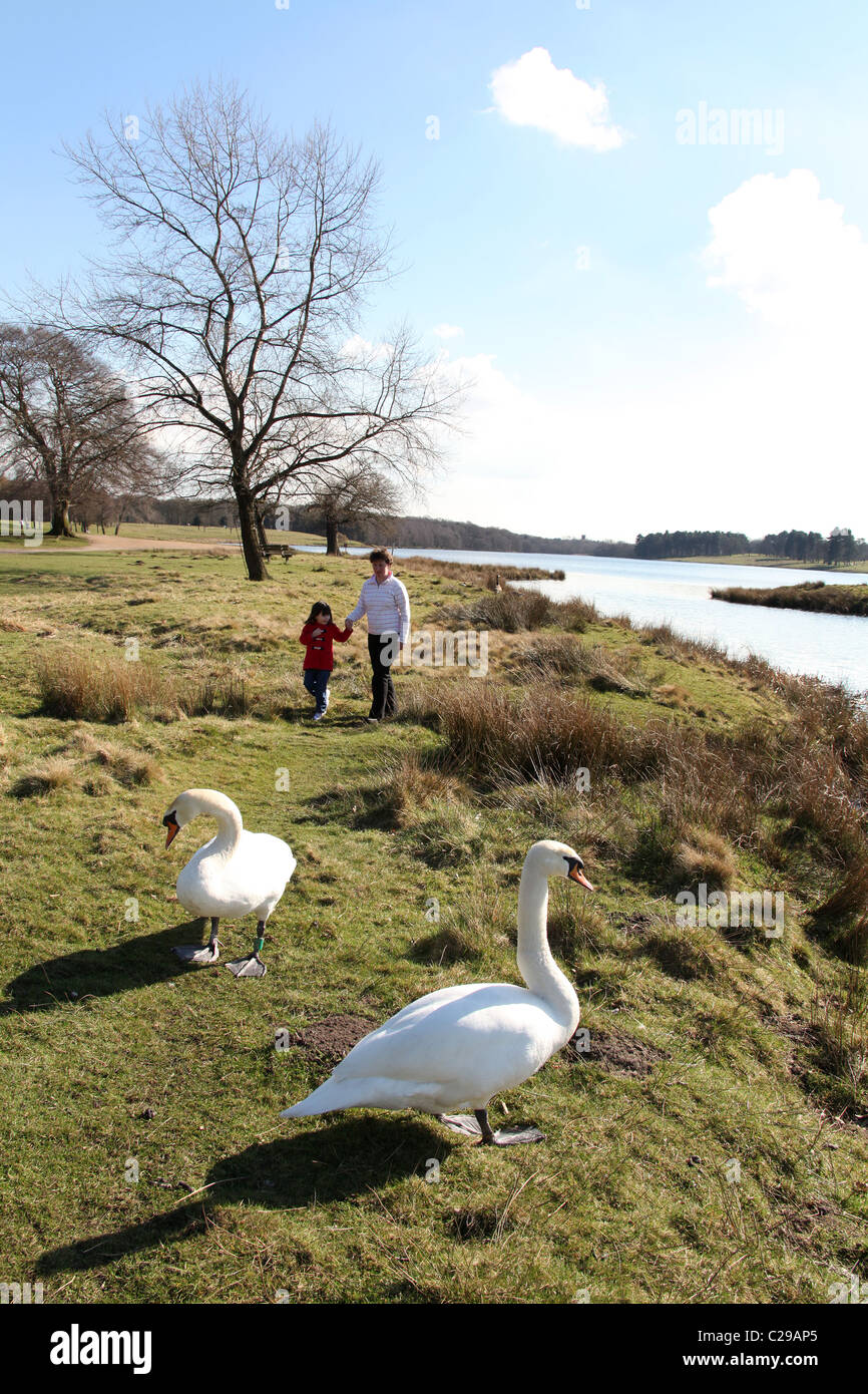 Estate of Tatton Park, England. Grandmother with a pretty young girl in ...
