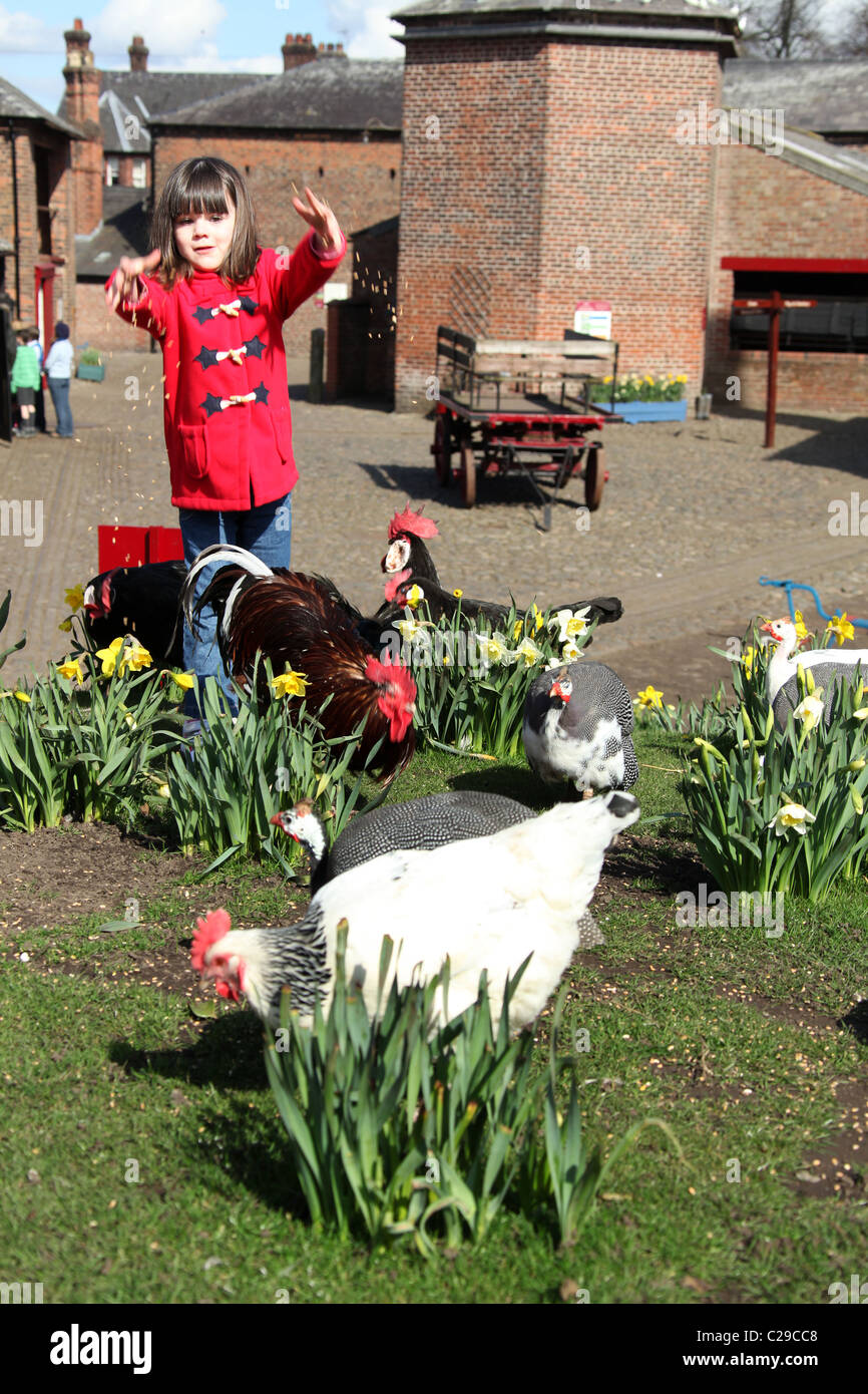 Estate of Tatton Park, England. A pretty young girl in a bright red ...