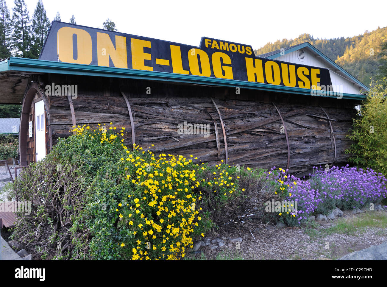 Redwoods National Park, California, USA - One Log House Stock Photo - Alamy