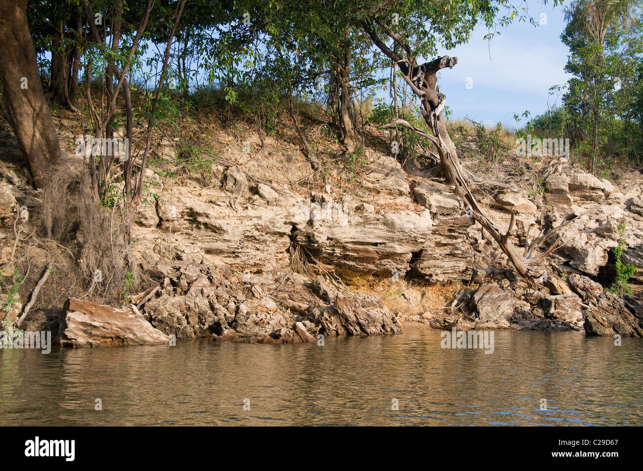 Amazon river fish colombia hi-res stock photography and images - Alamy