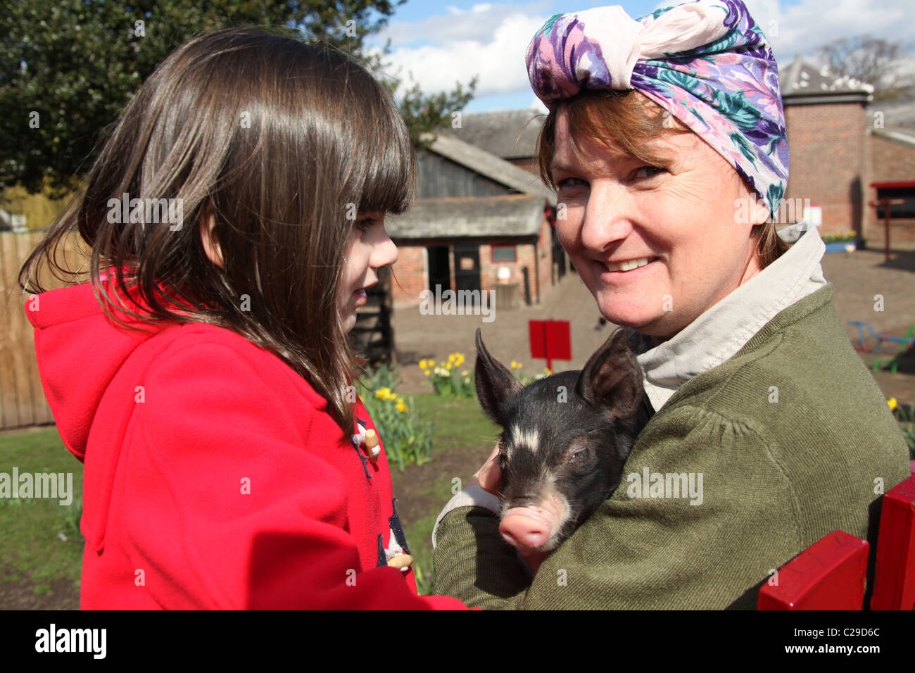 Estate of Tatton Park, England. Pretty young girl being shown a piglet ...