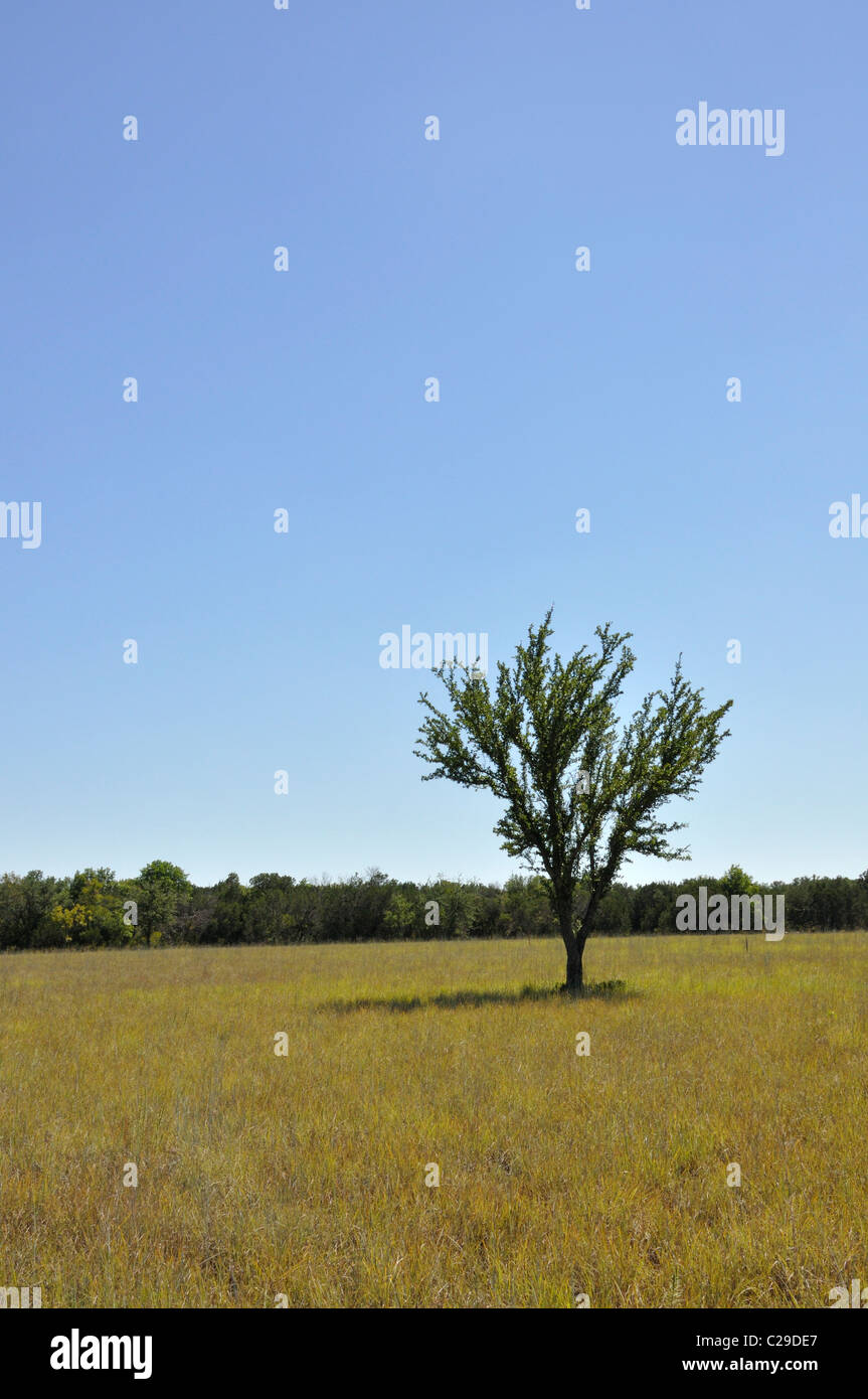 Texas high plains, USA Stock Photo - Alamy