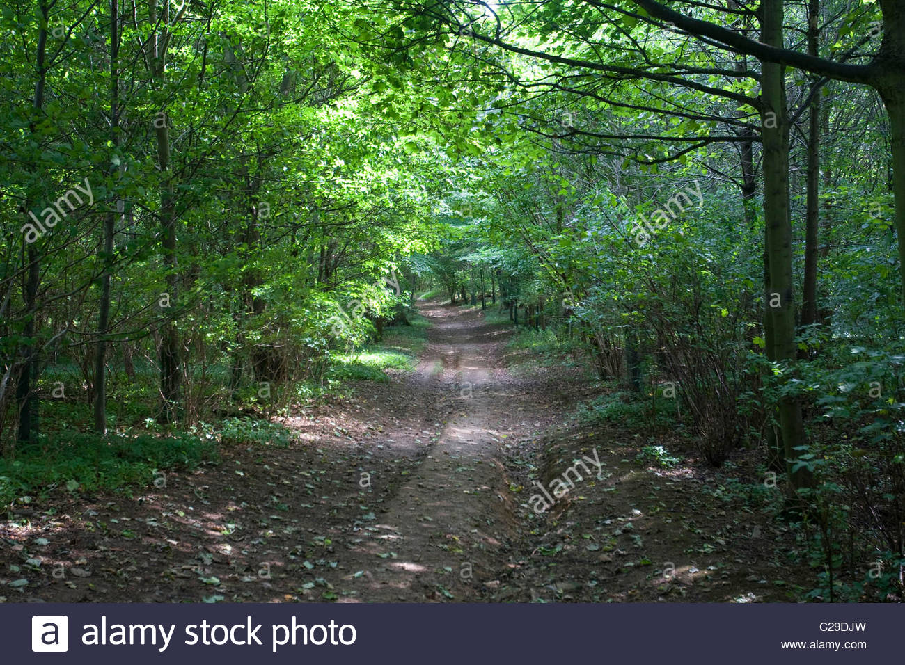 Dirt Paths Stock Photos & Dirt Paths Stock Images - Alamy
