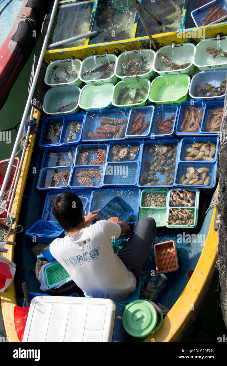 Asia, China, Hong Kong, New Territories, Saikung, fishing Stock Photo - Alamy