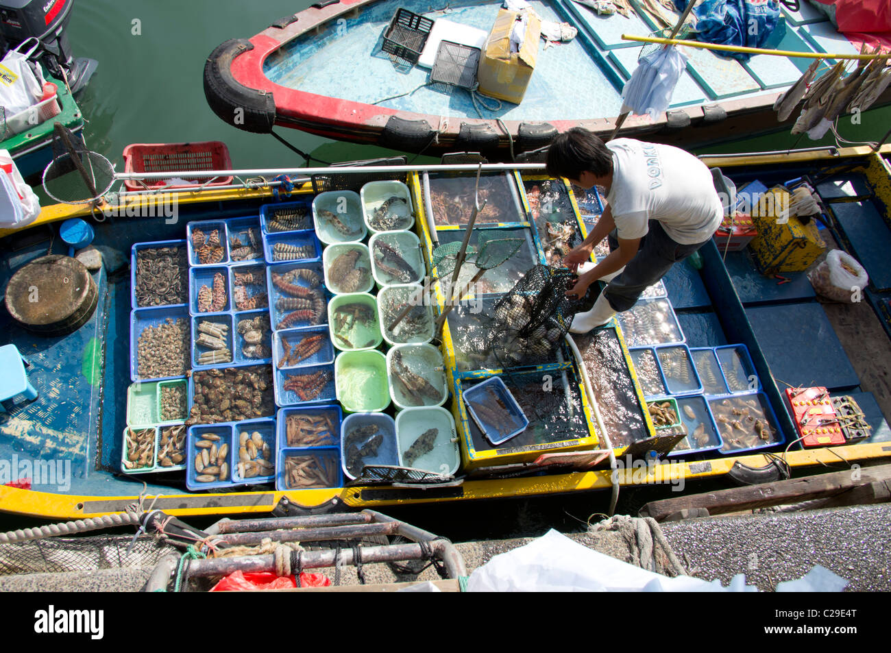 Asia, China, Hong Kong, New Territories, Saikung, fishing Stock Photo - Alamy