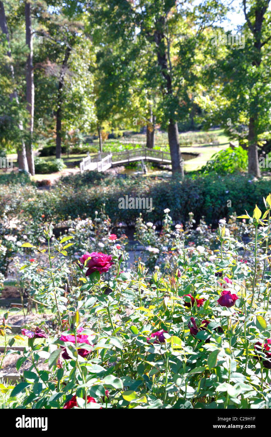 Rose Garden, Tyler, Texas - largest rose garden in the US Stock Photo ...