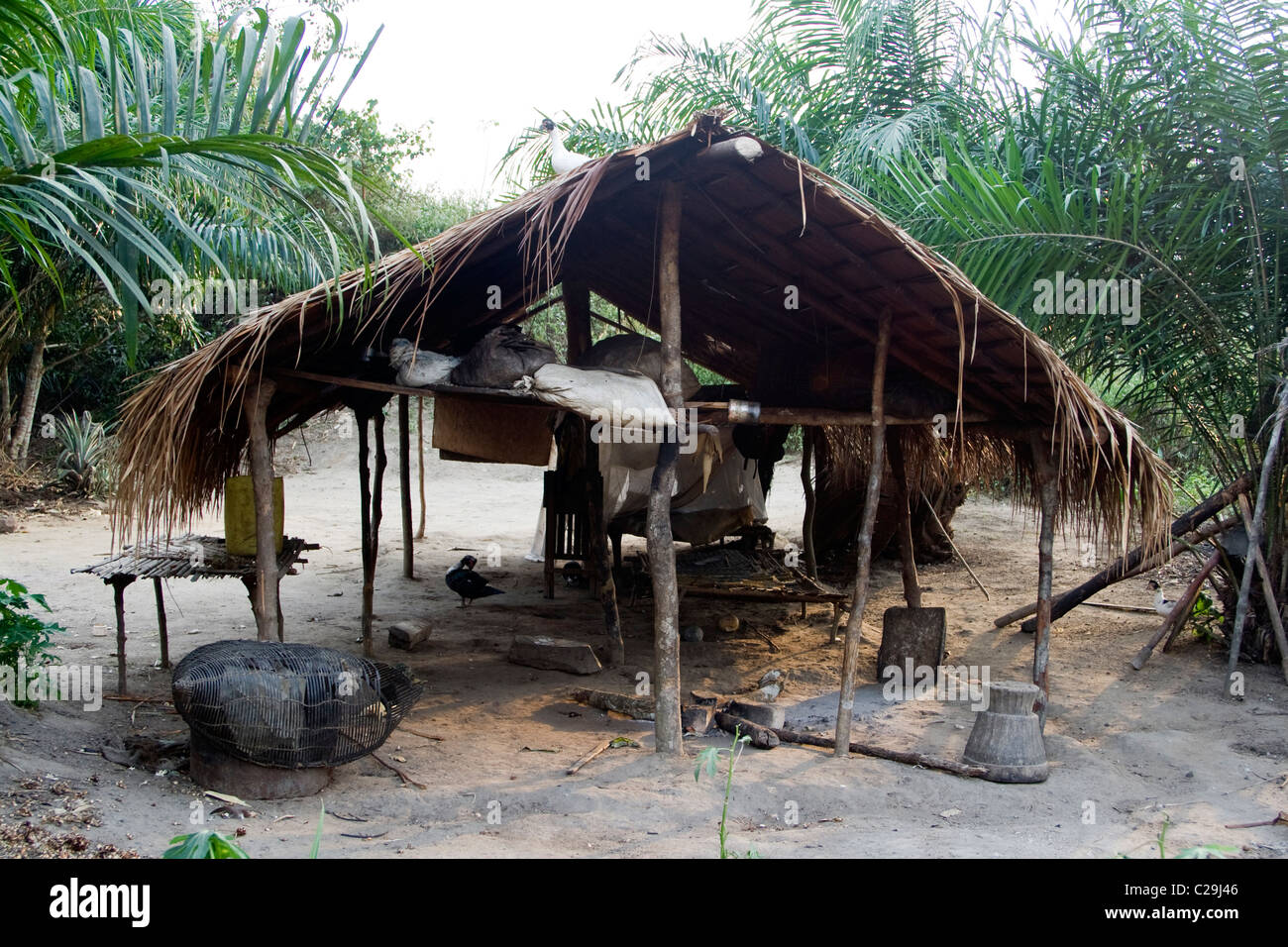 Huts ,Pygmies ,Betou ,Ubangi River ,Republic of Congo Stock Photo - Alamy