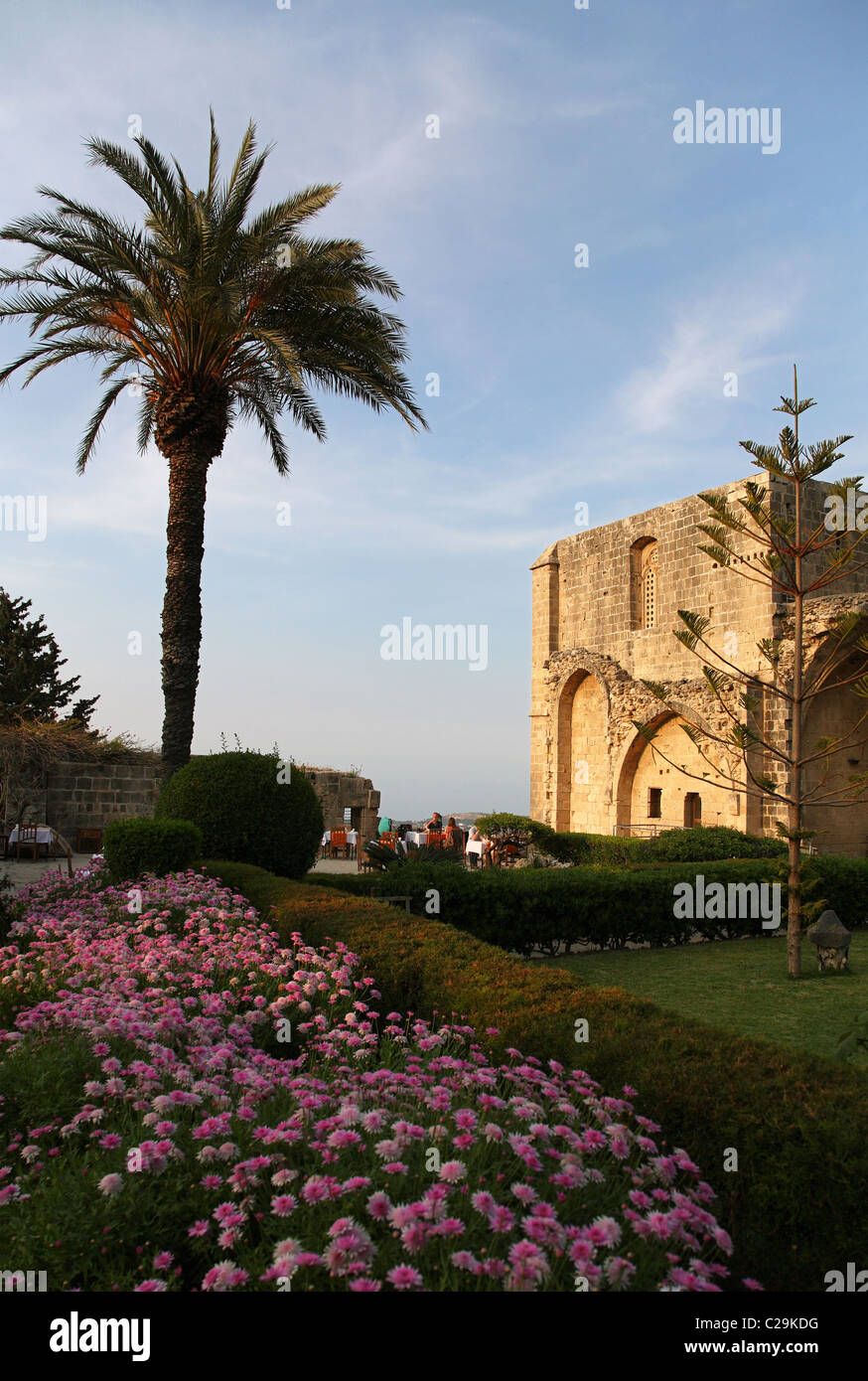 Bellapais tree hi-res stock photography and images - Alamy