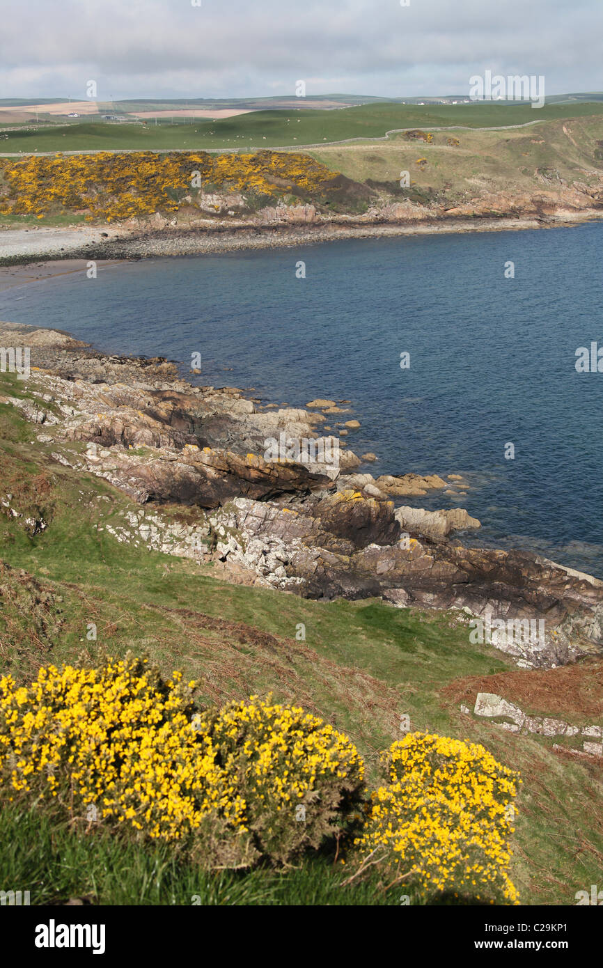 Mull of Galloway, Scotland. Coastline looking north from the Mull of ...