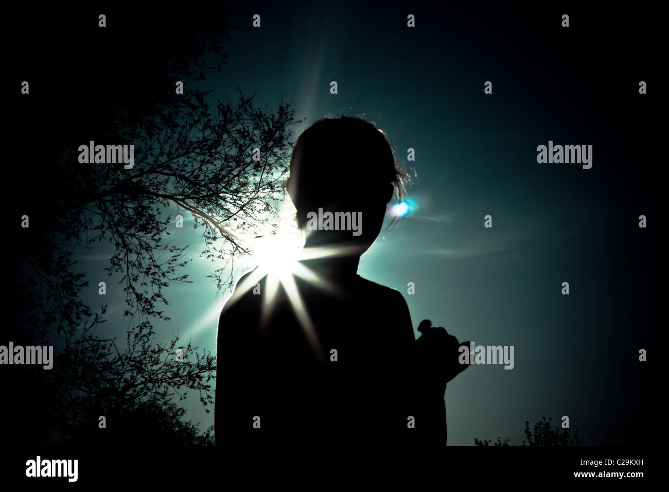 Woman silhouette with shadow hi-res stock photography and images - Alamy