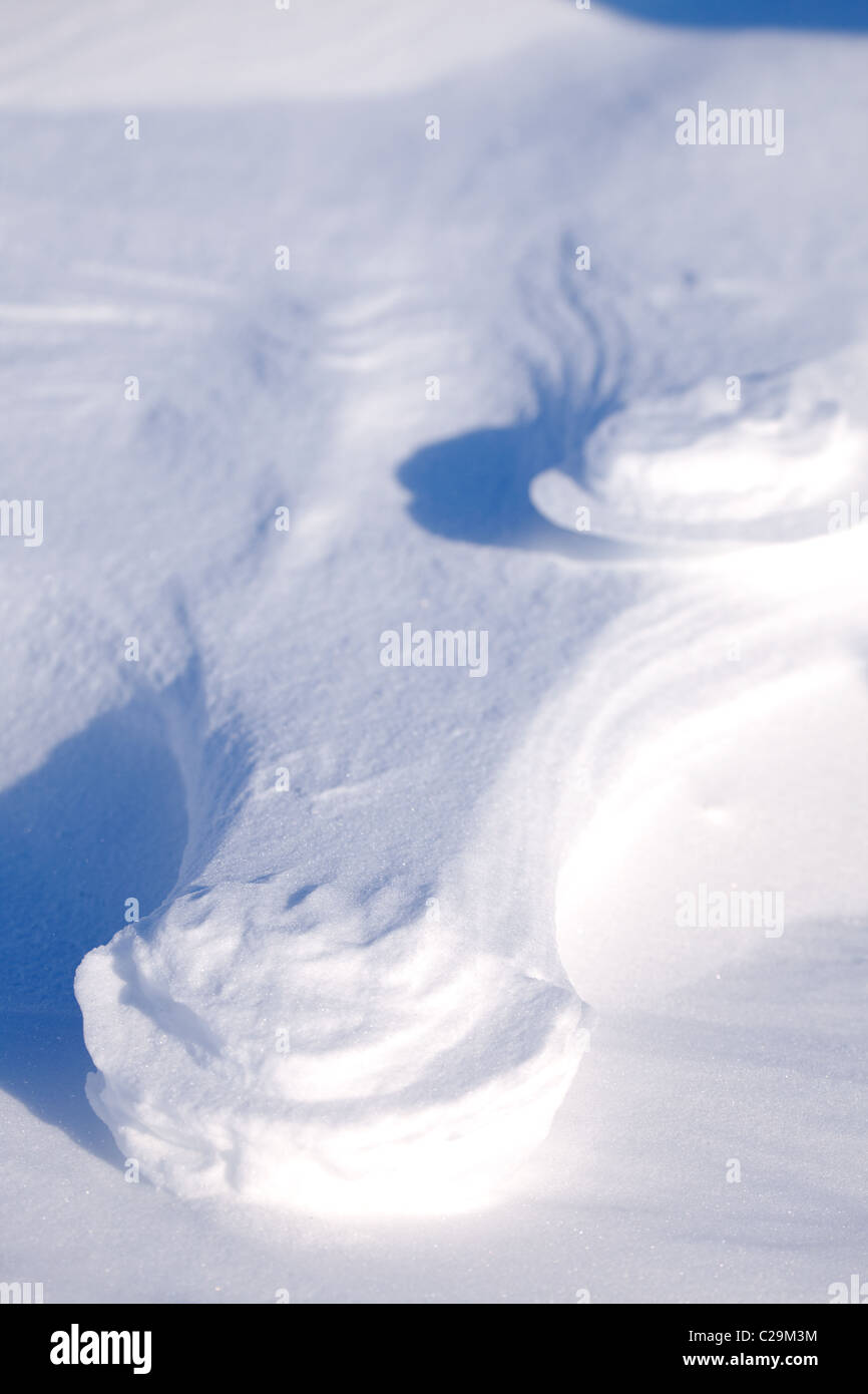 A polar bear track in the snow Stock Photo - Alamy