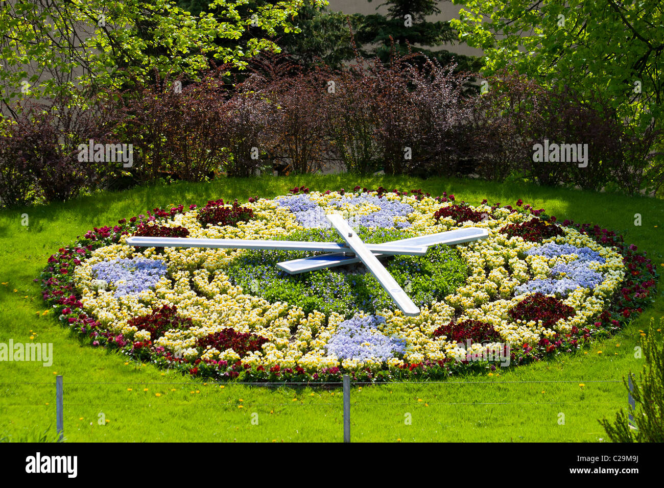 Clock flower garden hi-res stock photography and images - Alamy
