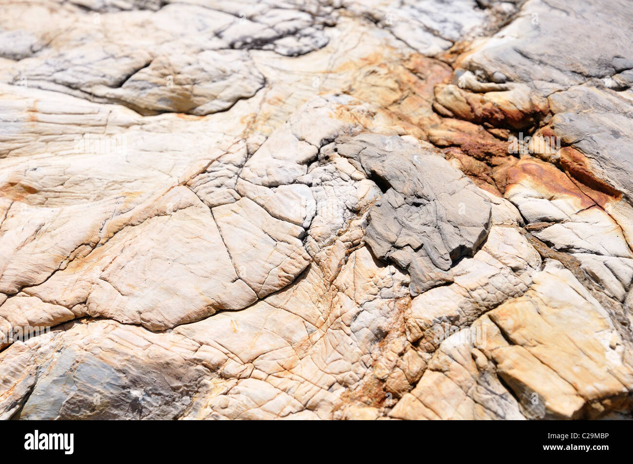 Petrified rose hi-res stock photography and images - Alamy