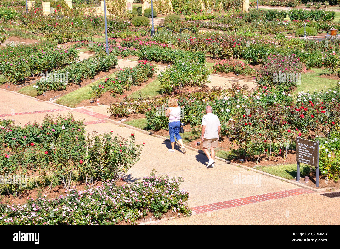 Rose Garden, Tyler, Texas - largest rose garden in the US Stock Photo ...