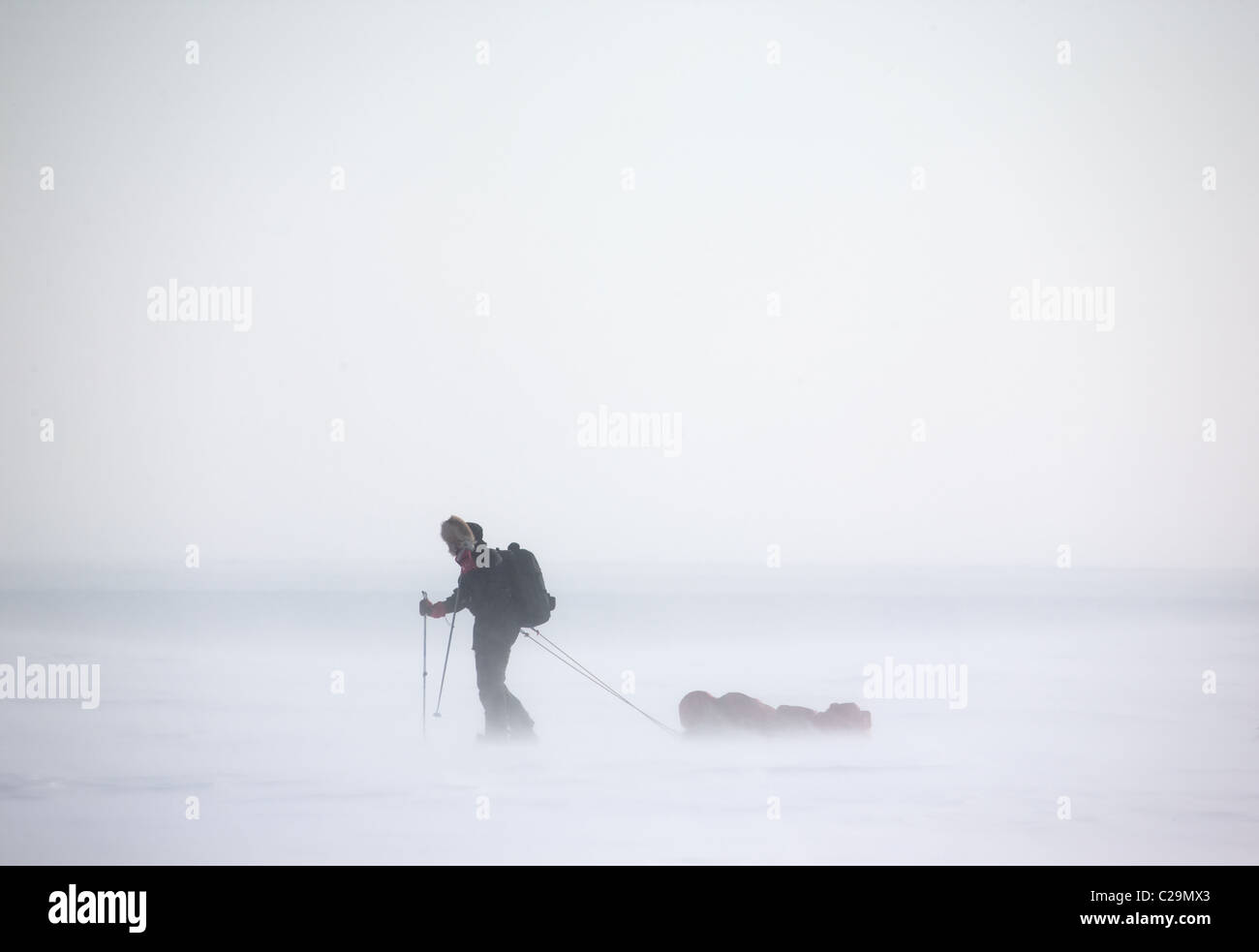 A single person on a winter expedition in a snow storm Stock Photo - Alamy