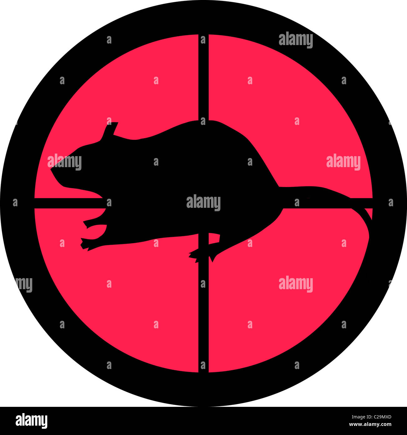 In the scope series – Rat in the crosshair of a gun’s telescope Stock ...