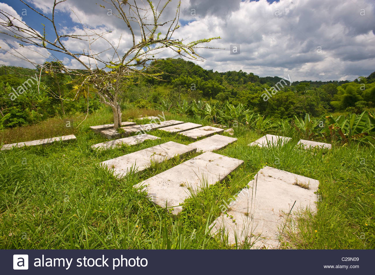 Cockpit Country, Jamaica Stock Photos & Cockpit Country, Jamaica Stock ...