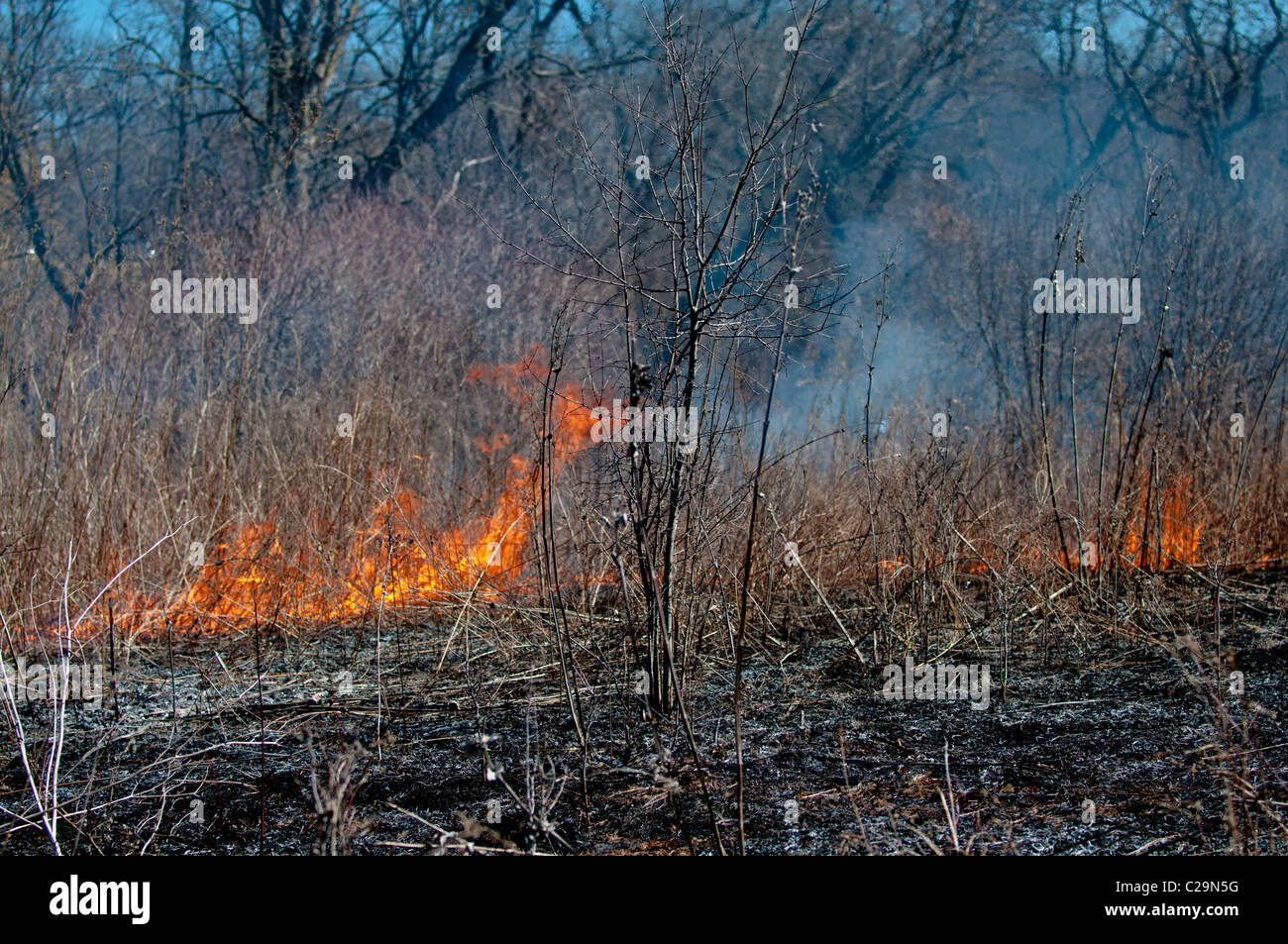 Controlled burns hi-res stock photography and images - Alamy
